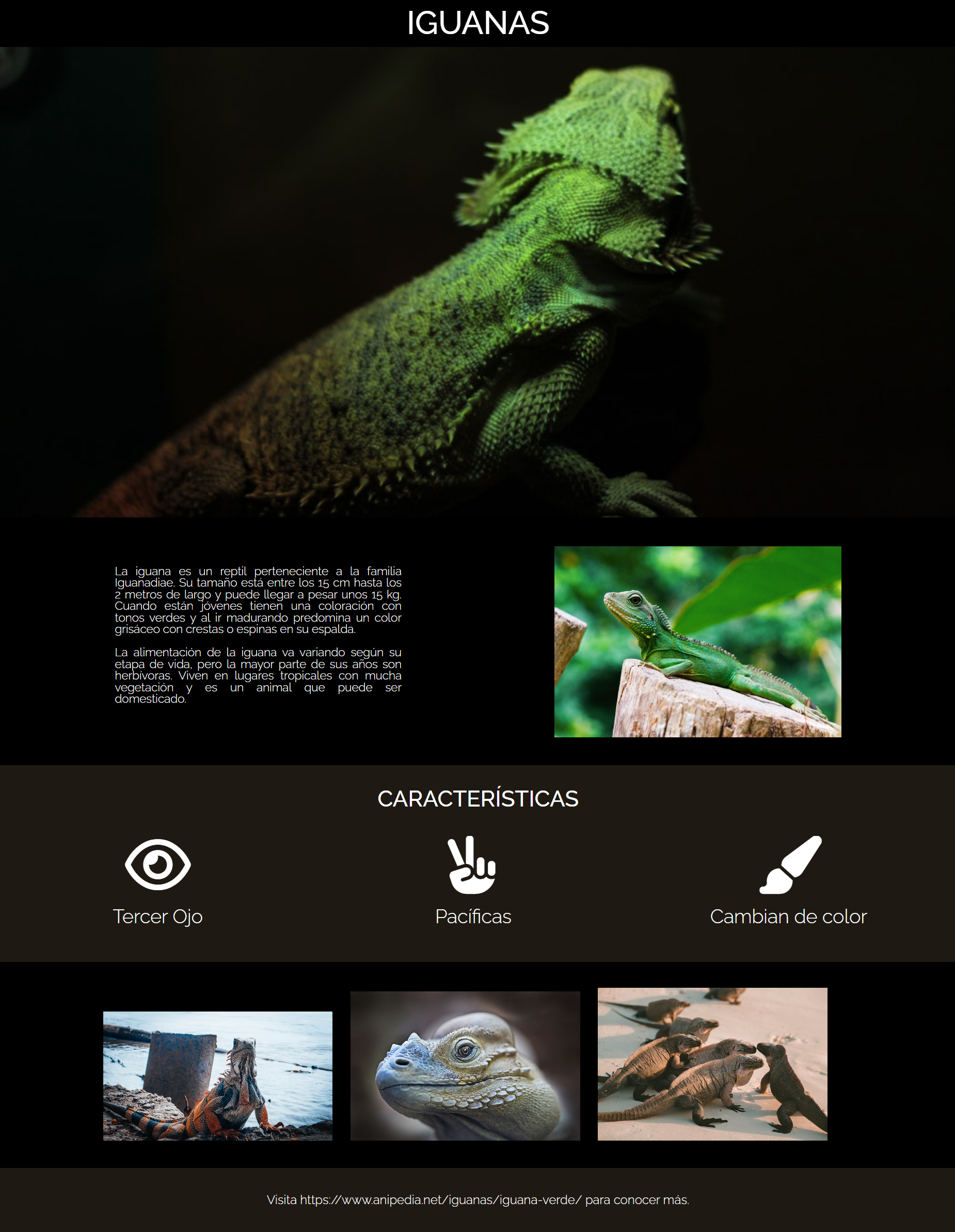 Desafío final - Introducción al Desarrollo Web